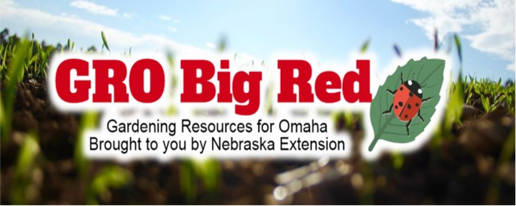 cropped-picture1.jpg – GRO Big Red