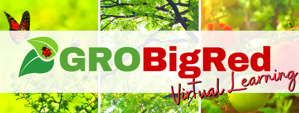 Virtual Learning Series – GRO Big Red