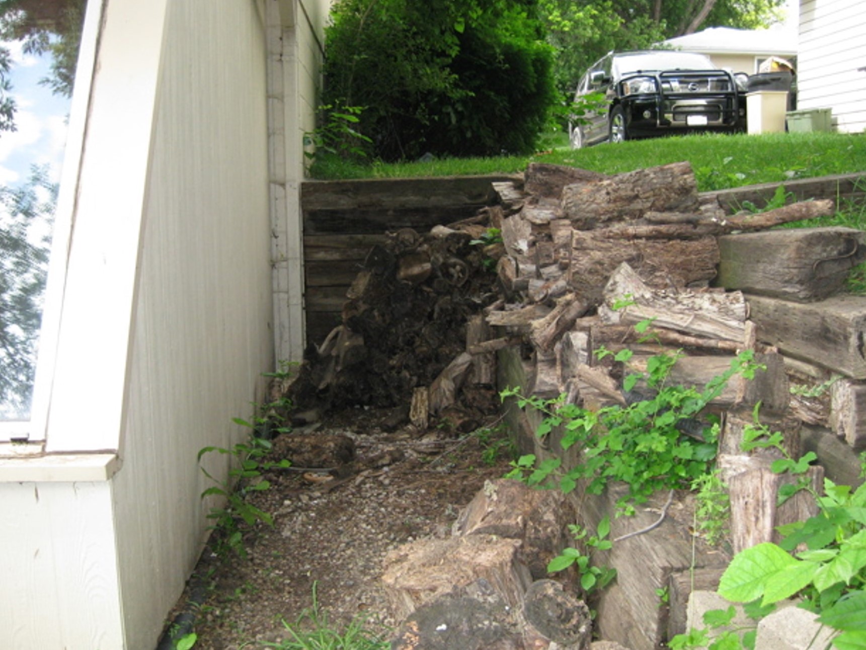 Conducive conditions for termites and other WDO – GRO Big Red