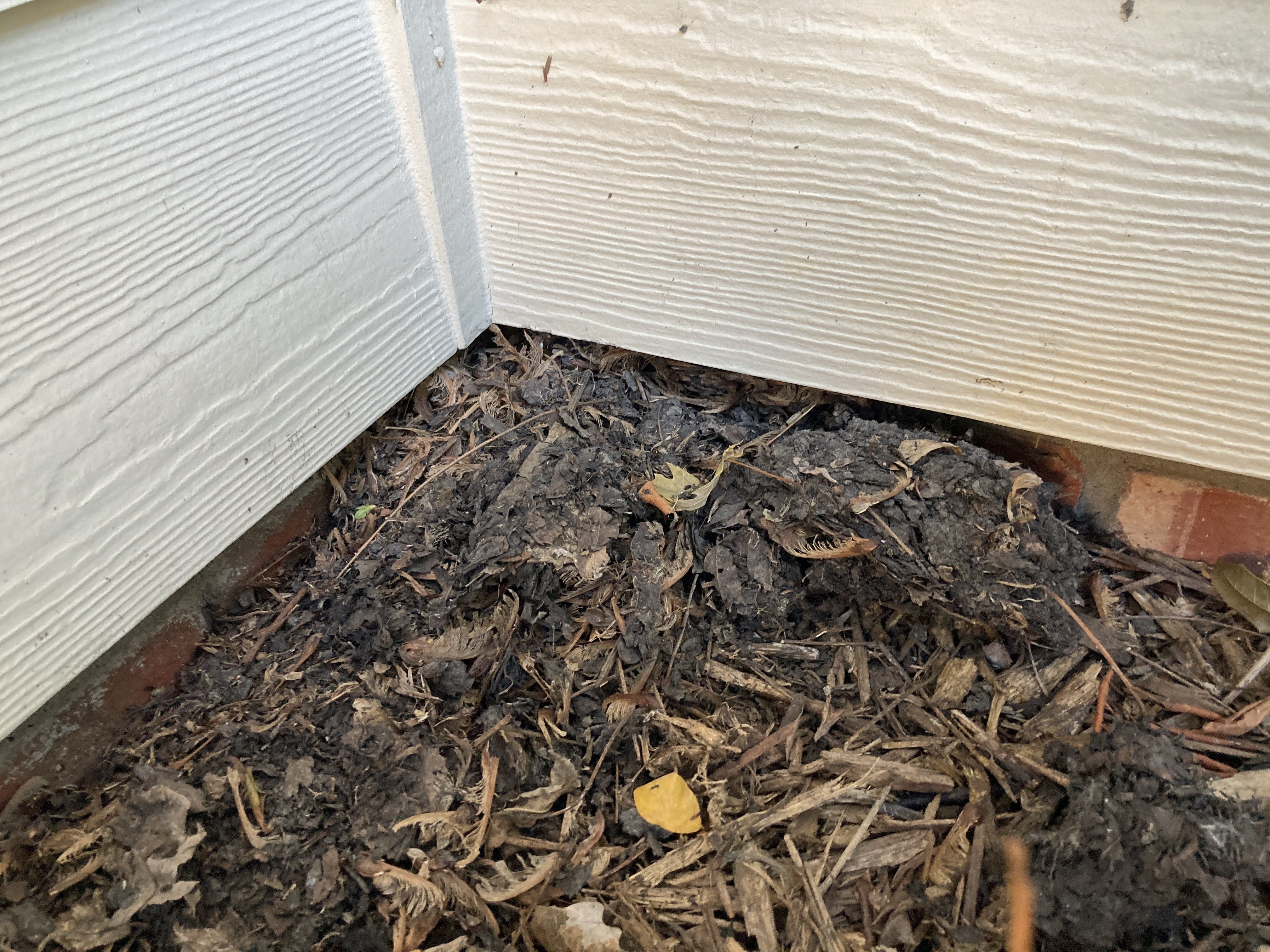 Wood mulch too high – GRO Big Red